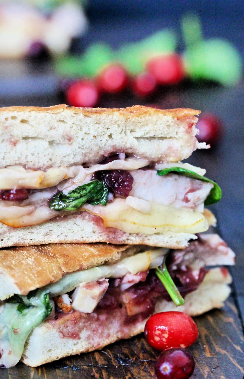 Turkey and Cranberry Panini - The Foodie Physician