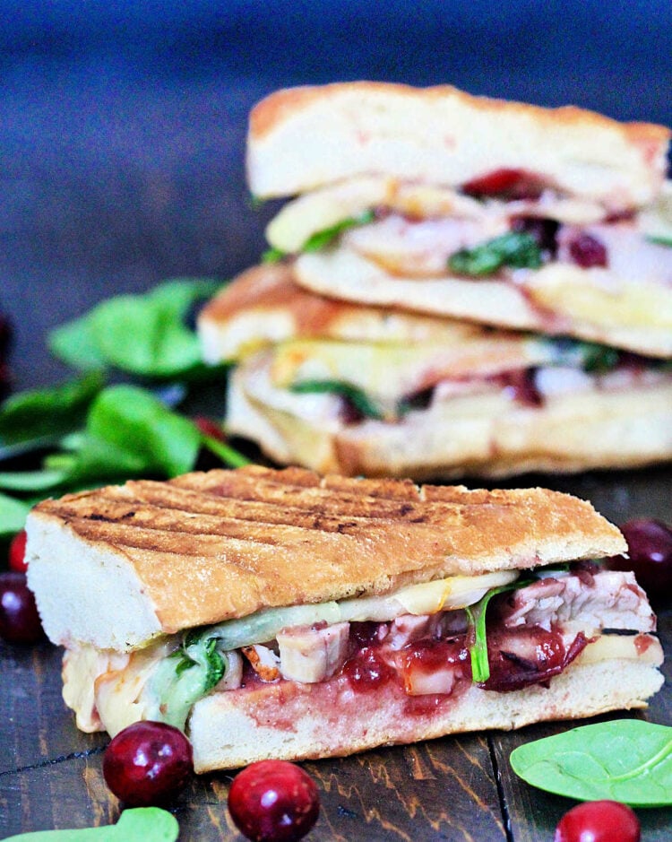 Turkey and Cranberry Panini - The Foodie Physician
