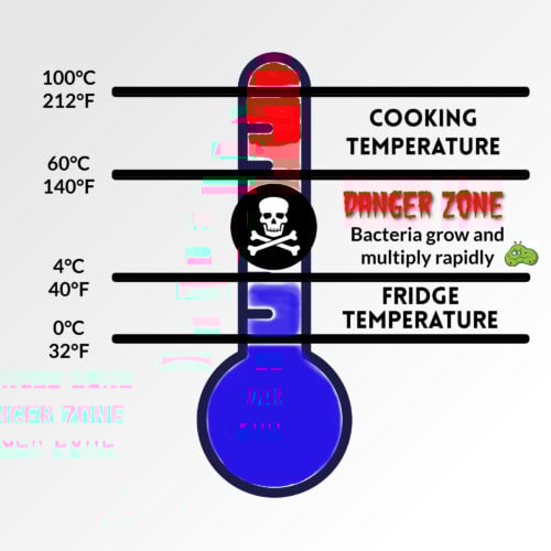 How Long Can Chicken Sit Out? - The Foodie Physician