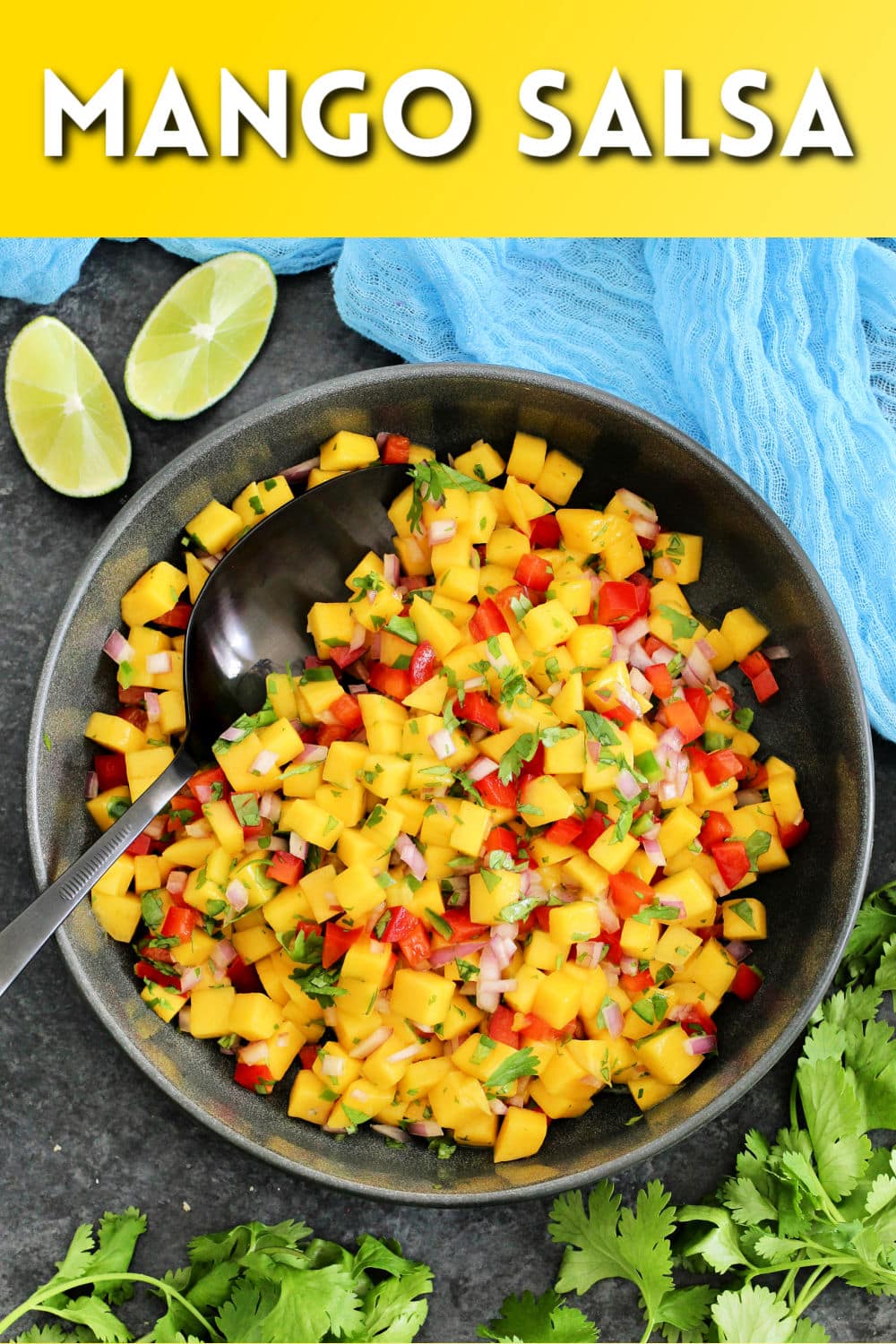 Mango Salsa (Perfect For Fish Tacos) - The Foodie Physician