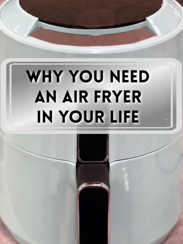 Best Air Fryer Safe Dishes- The Ultimate Guide