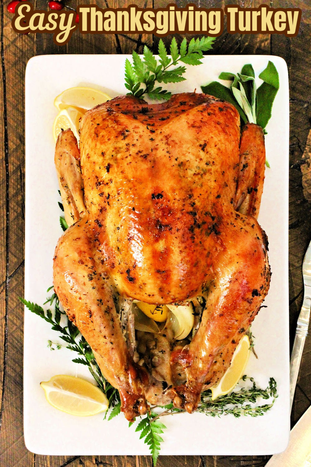 Perfect Roast Turkey - The Foodie Physician
